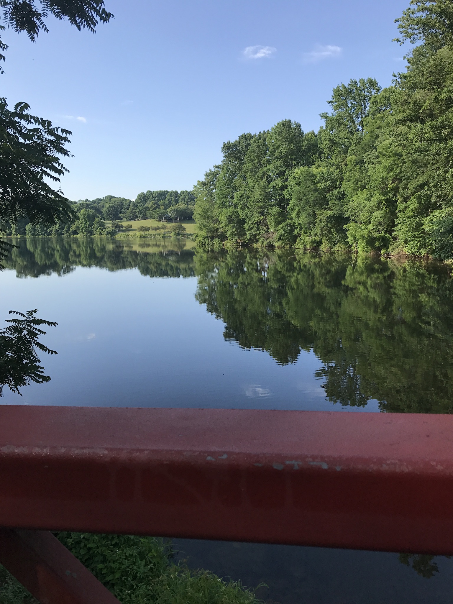 Cruzada & Dodson-Reed – August 2022 | the light ekphrastic