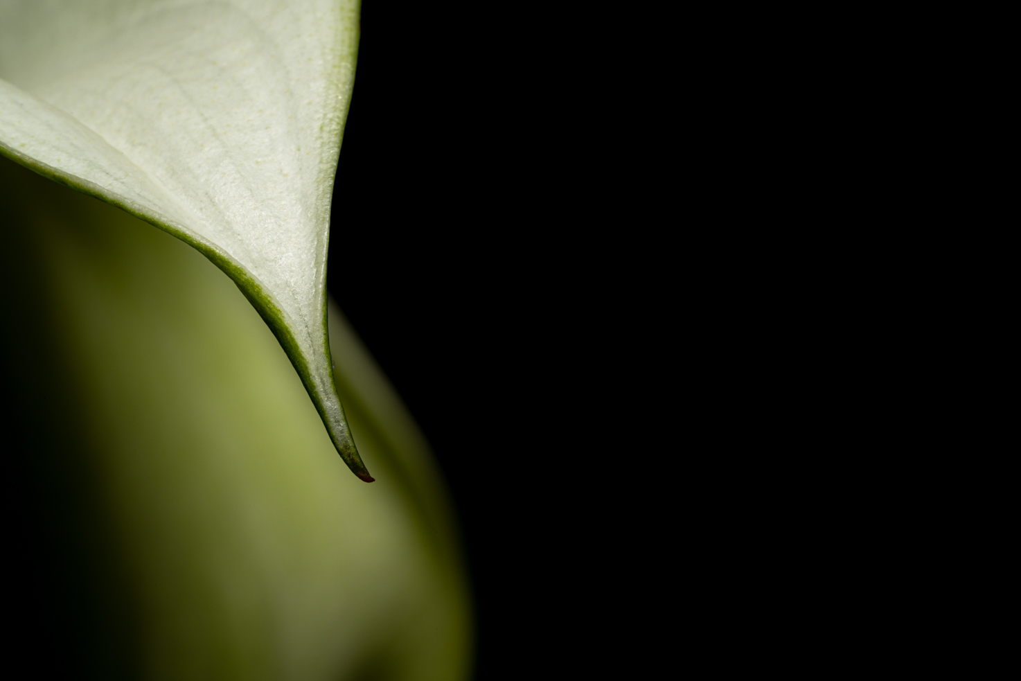 Simon & Sandoval – August 2023 | the light ekphrastic